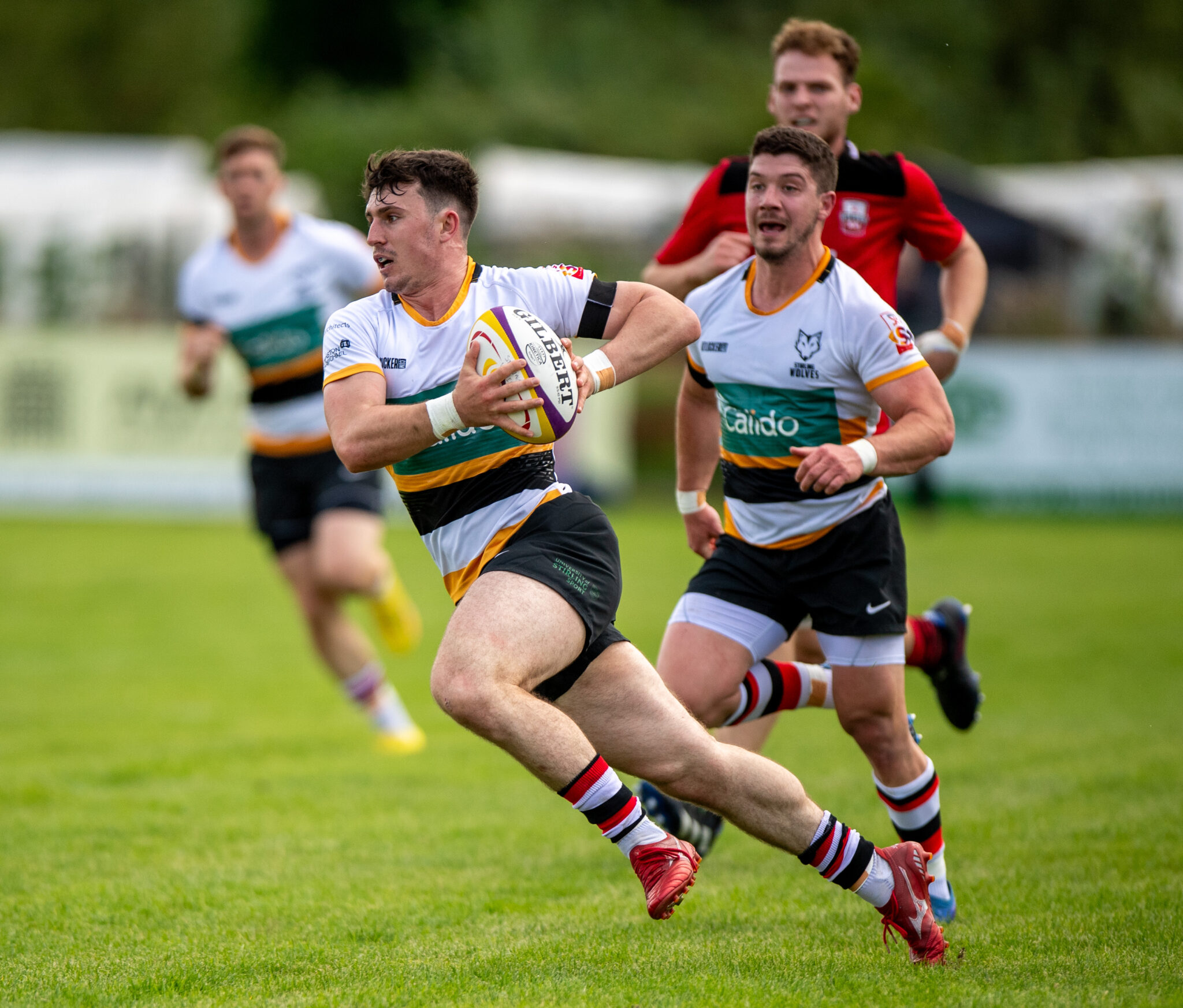 Stirling Wolves v FOSROC Future XV - Match Report - Stirling County ...