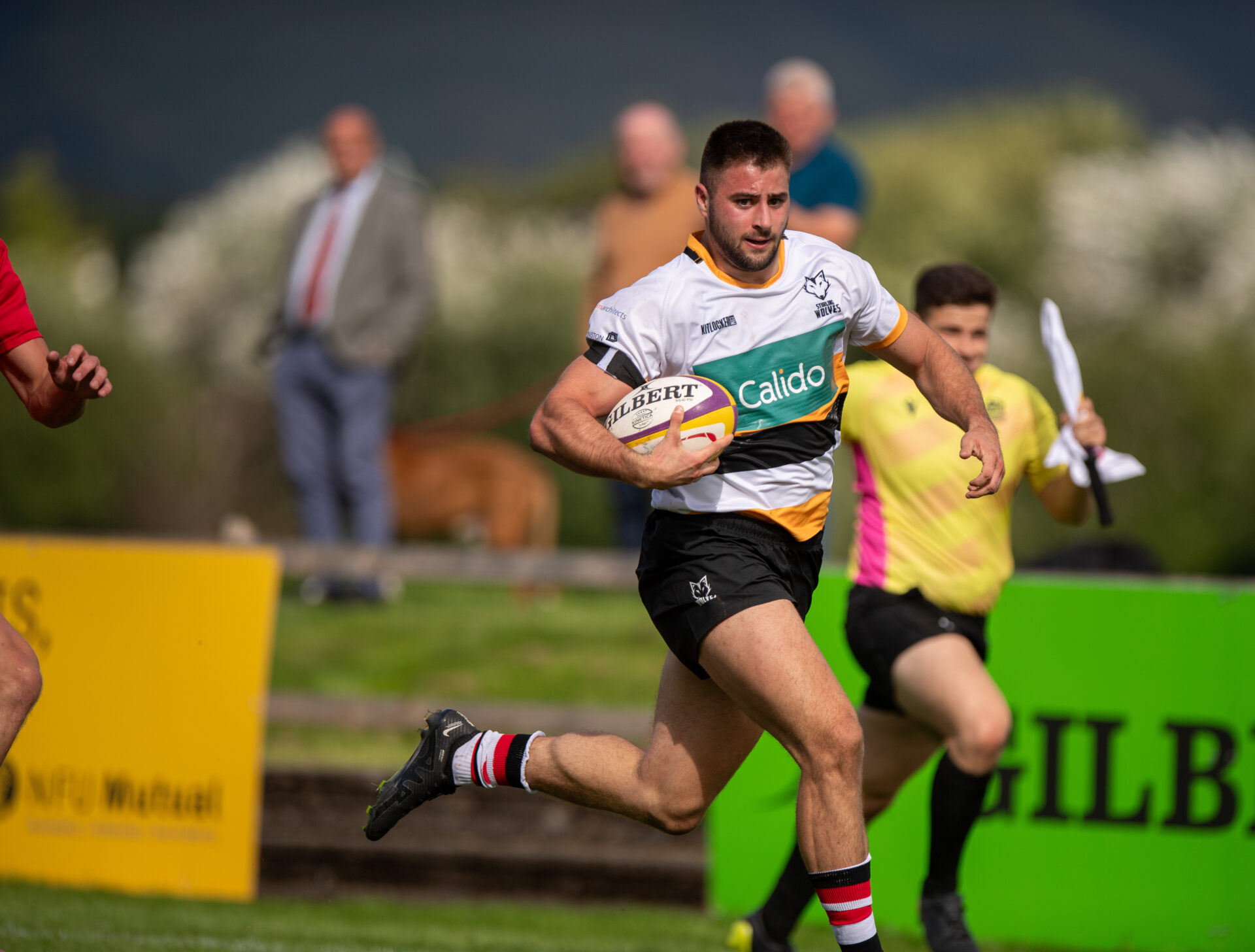 Stirling Wolves v FOSROC Future XV - Match Report - Stirling County ...