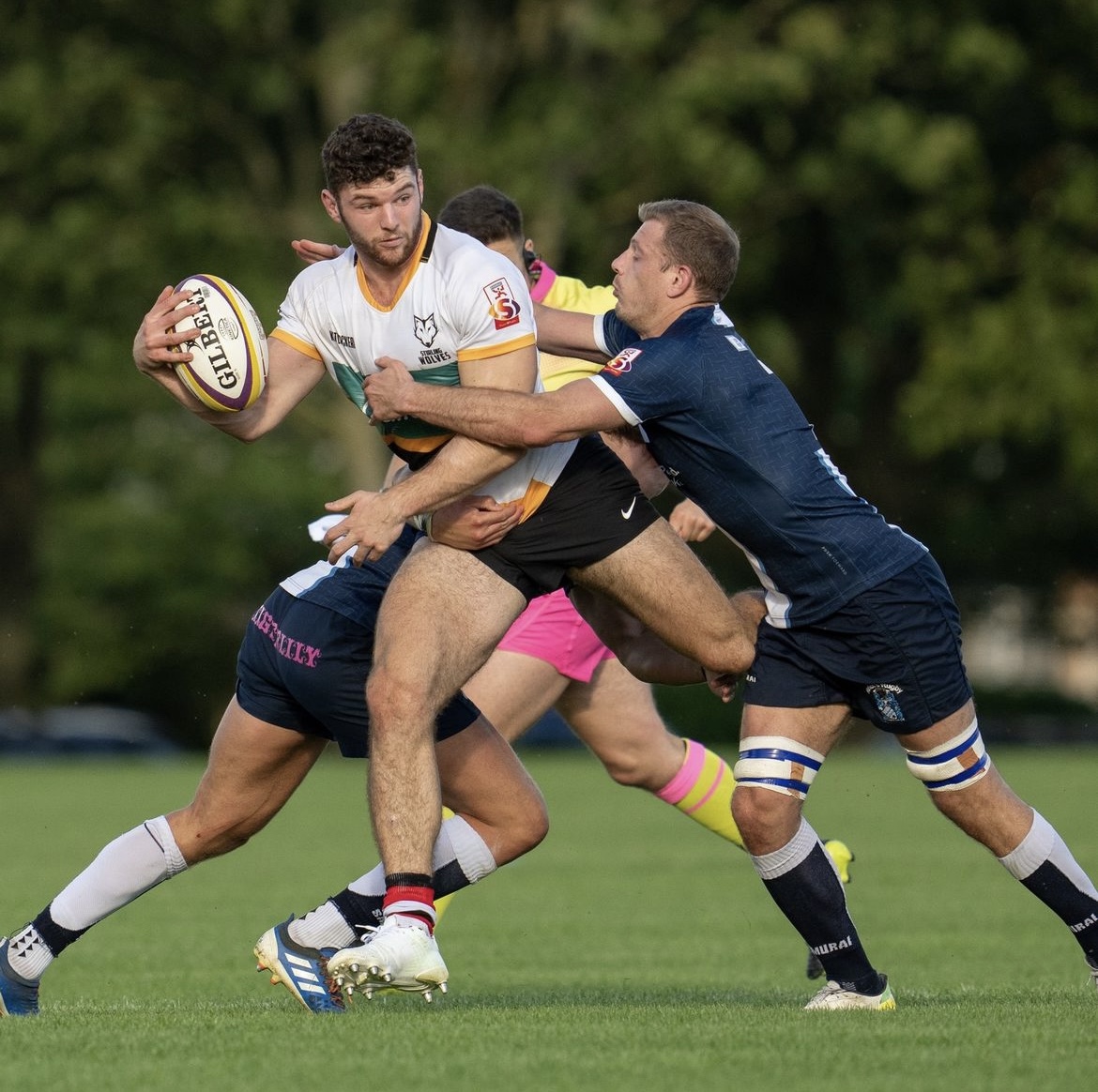 Heriot's v Stirling Wolves Match Report - Stirling County Rugby ...